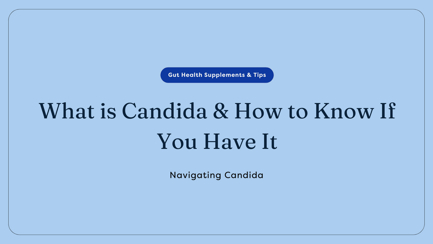 What is Candida & how to know if you have it